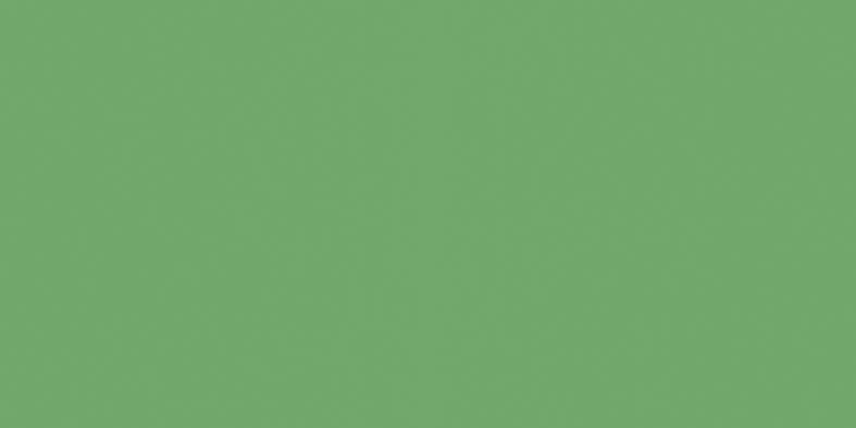 RAKO Color One WAAMB456 wall tile green 20x40 cm | RAKO